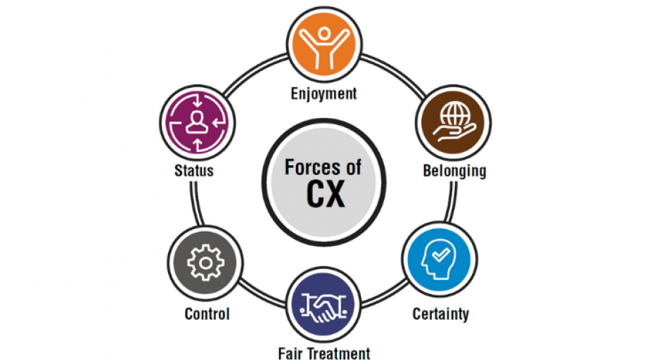 Hoe Customer Experience ervoor zorgt dat je geen blauwtje loopt | Ipsos